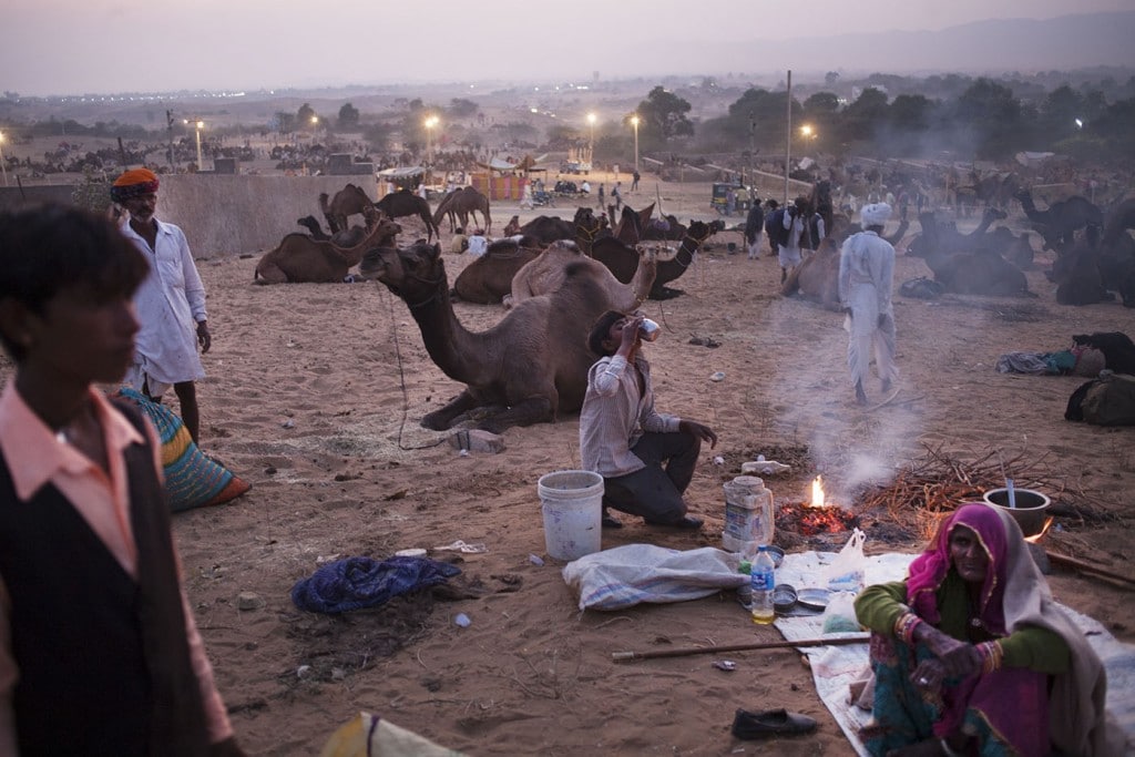 A weekend at the Pushkar Mela – OYO Hotels: Travel Blog