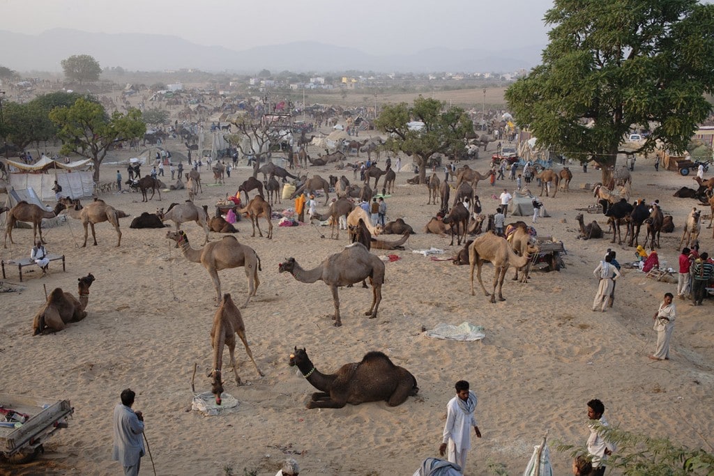 A weekend at the Pushkar Mela – OYO Hotels: Travel Blog