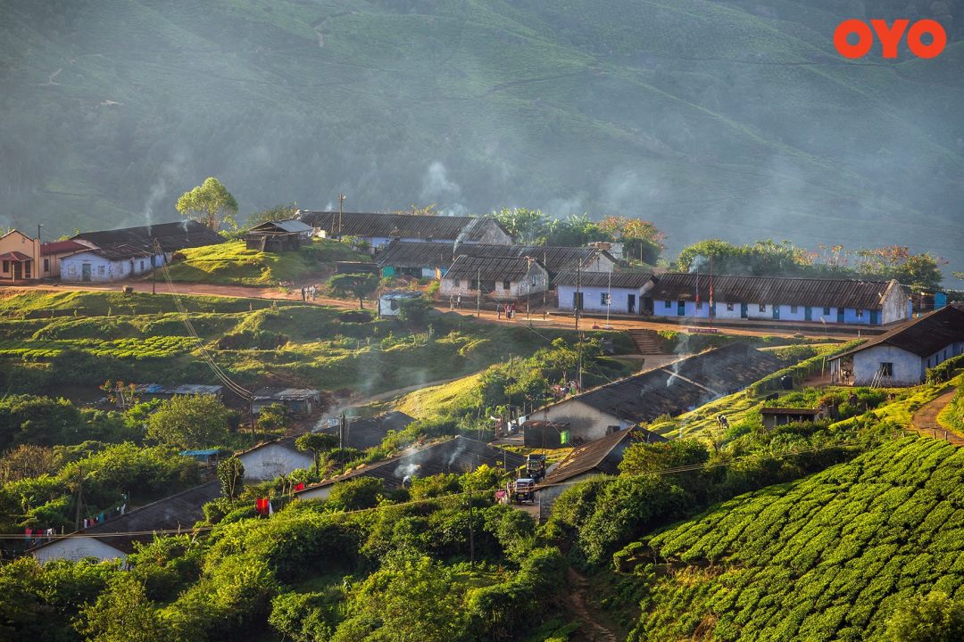 Re-Discover Munnar with this Quick Travel Guide – OYO Hotels: Travel Blog