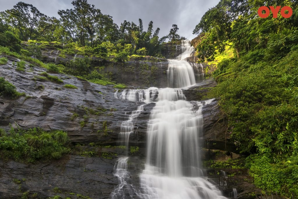 Re-Discover Munnar with this Quick Travel Guide – OYO Hotels: Travel Blog