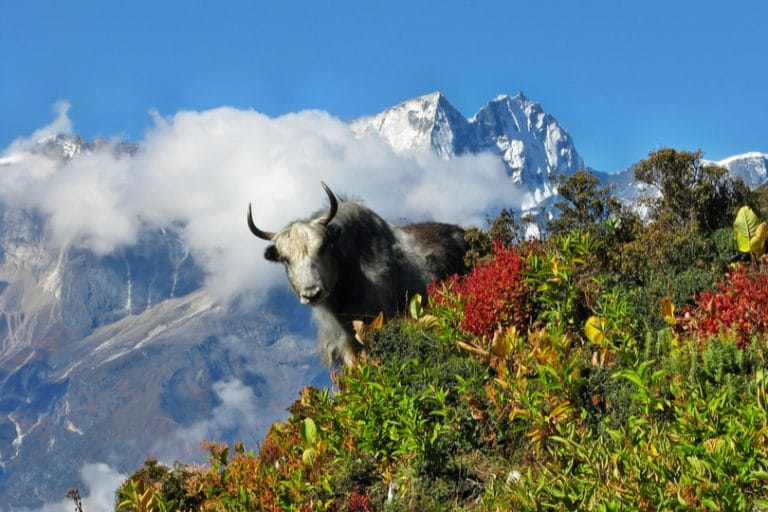 15 Most Famous Historical Places of Nepal You Should Visit – OYO Hotels ...