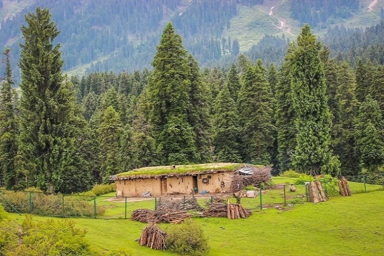 Explore the inner beauty of Kashmir Valley – OYO Hotels: Travel Blog