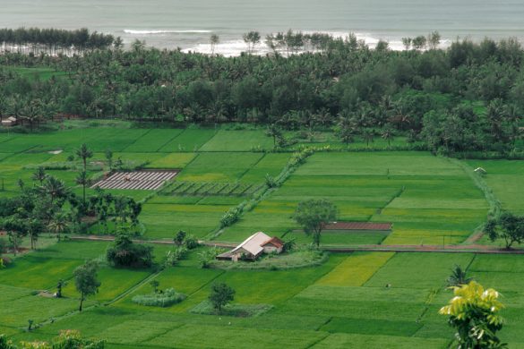 6 Tempat Wisata Cilacap, Wajib Dikunjungi! - OYO Indonesia Blog