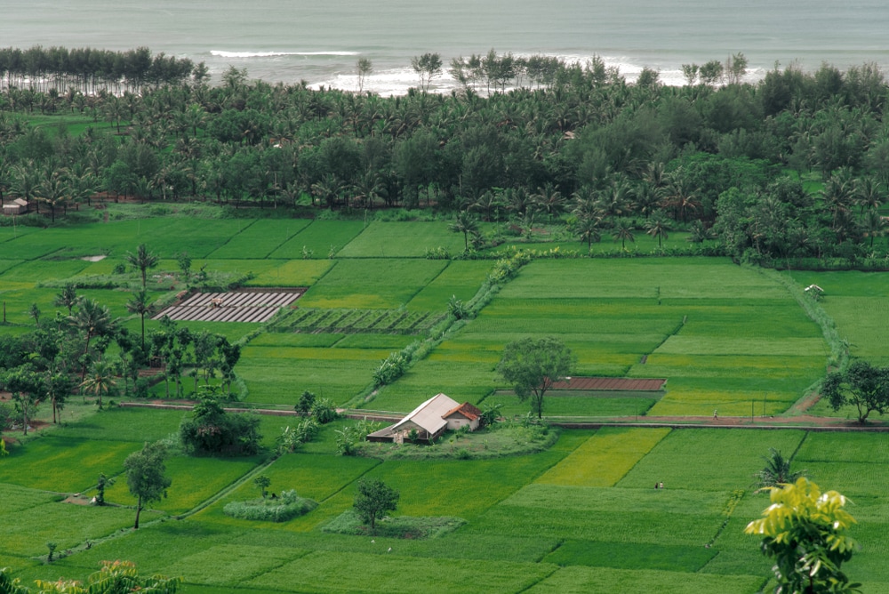 6 Tempat Wisata Cilacap, Wajib Dikunjungi! - OYO Indonesia Blog