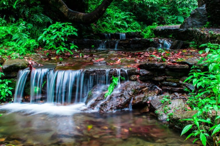 5 Amazing Places To Visit in Tirthan Valley
