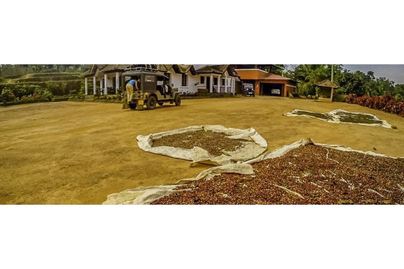 Things To Do In Coorg - Guide: Best Places to Visit