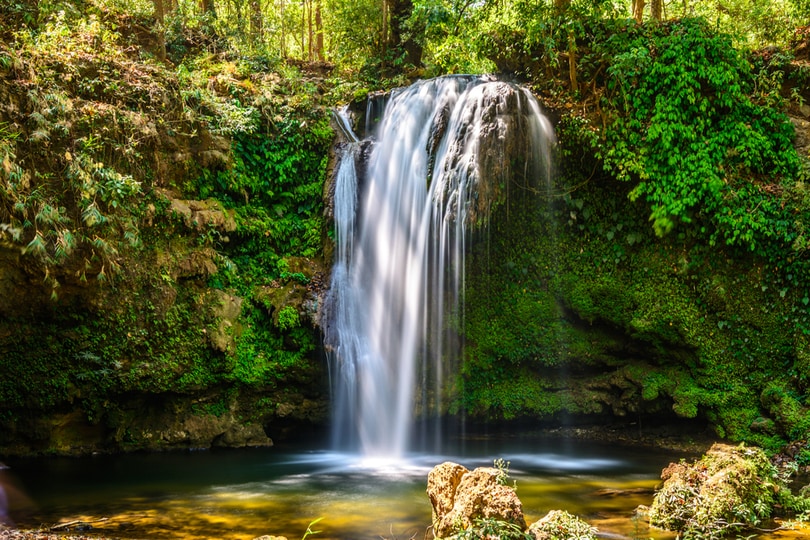 Jim Corbett National Park : An Ultimate Travel Guide