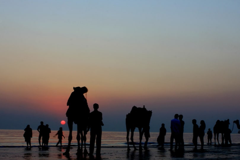 Mandvi Beach : A Quick & Handy Travel Guide