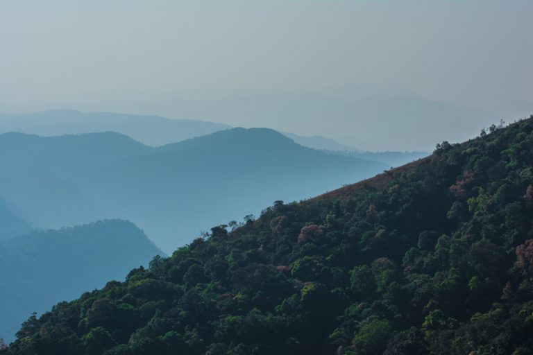 Shimoga - Places To Visit & Best Time To Explore Shivamogga