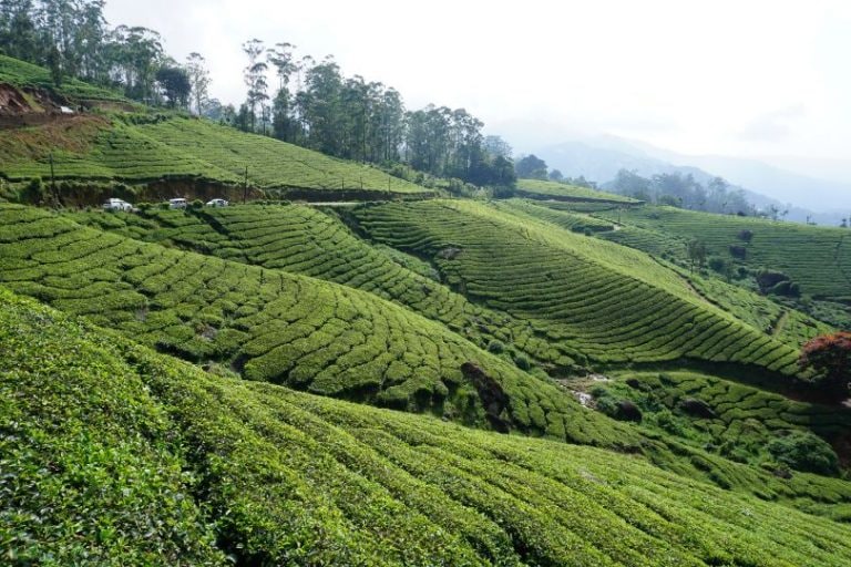 Most Beautiful Places to Visit in South India this Summers [2020]