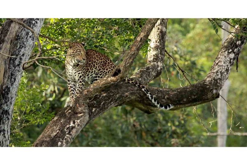 Things To Do In Coorg - Guide: Best Places to Visit