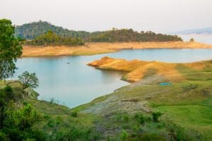 Pong Dam : Everything You Need to Know