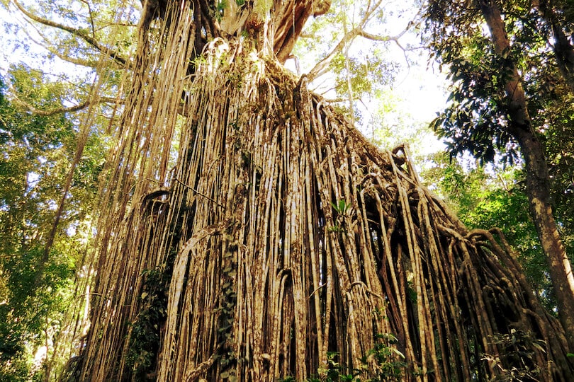 These Haunted Places in Bangalore are Guaranteed to Give You the Chills ...