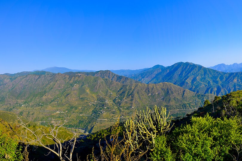 Chail Summer Travel Guide - Things to do, Food to Eat & More - Guide ...