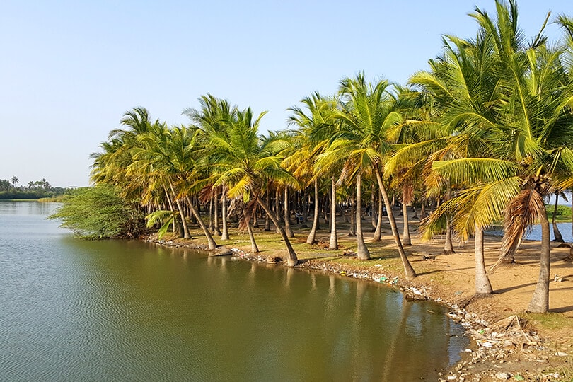 9 Best Activities to Add to Your Pondicherry Travel Itinerary in 2021 ...