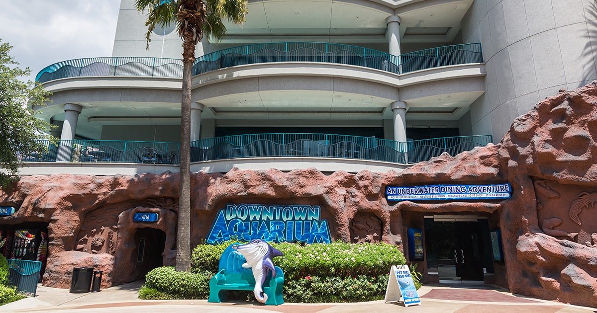 15 Best Amusement Parks in Houston - The Good Life