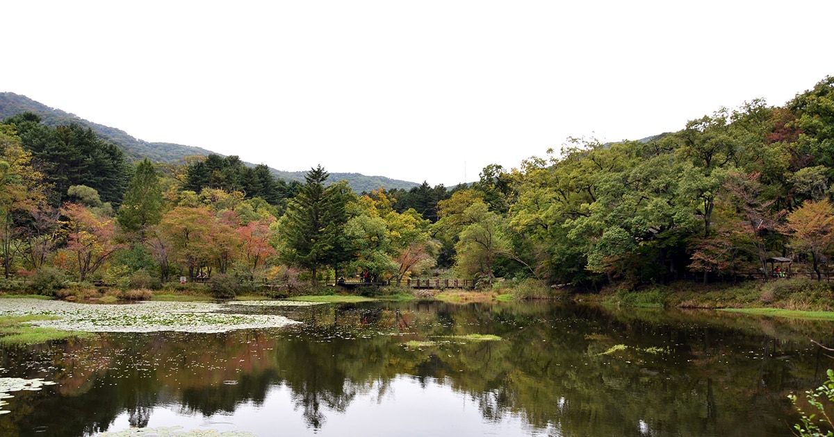 15 Best Lakes In And Around Houston, Tx - The Good Life