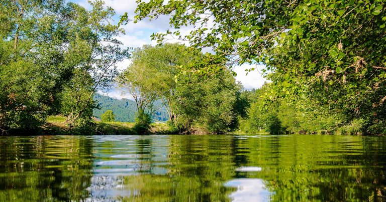 20 Best Hiking In Houston: Amazing Trails And Spots Around The City ...