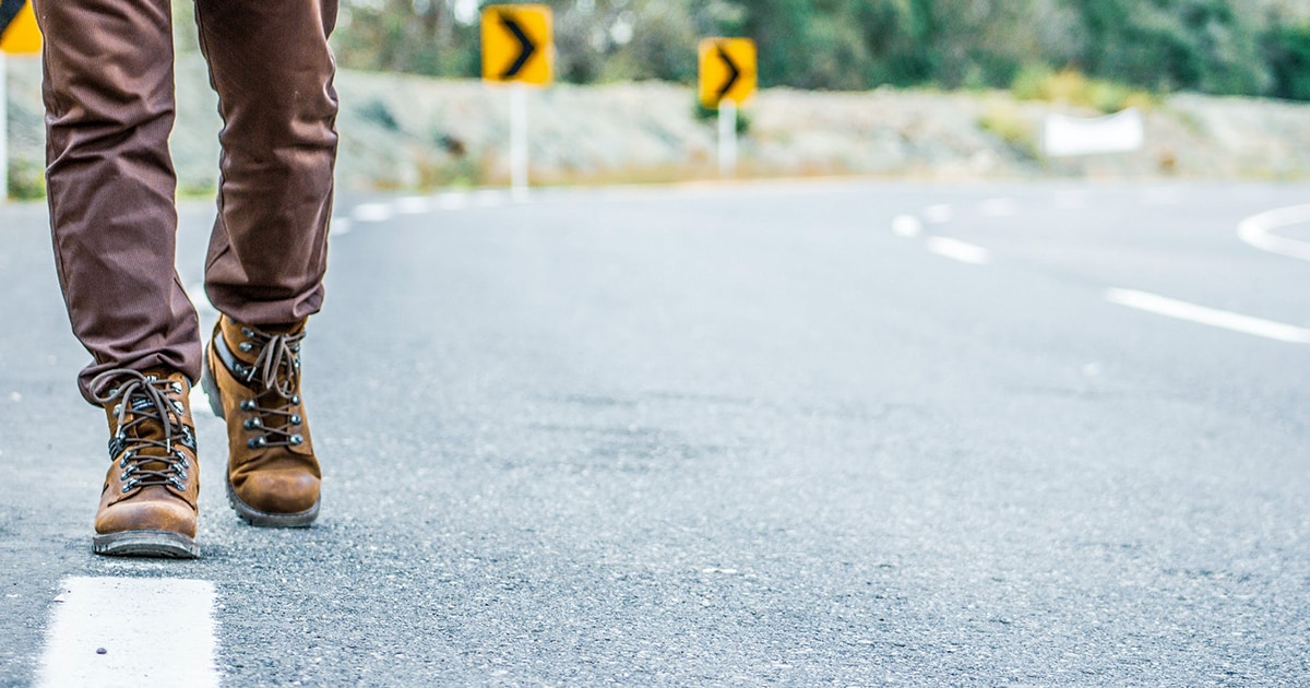 A Trip To Houston Zoo: Must-See Attraction, Things To Do, Entry Hours ...